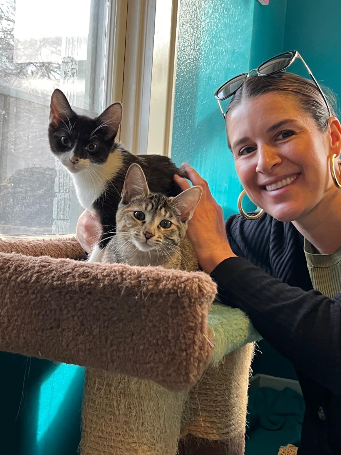 Home - Save A Purrfect Cat Rescue